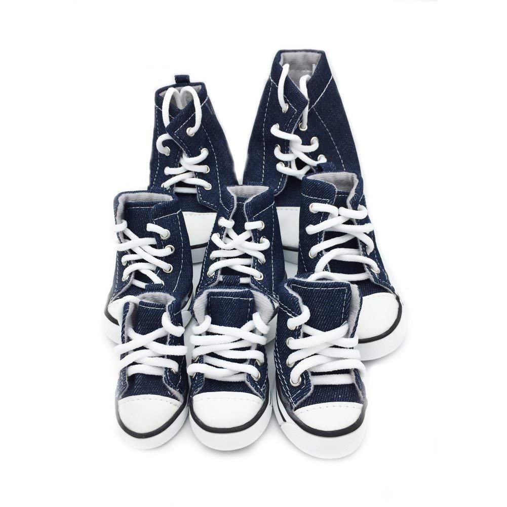 Converse Chunk Taylor Dog Shoes - Club Huey