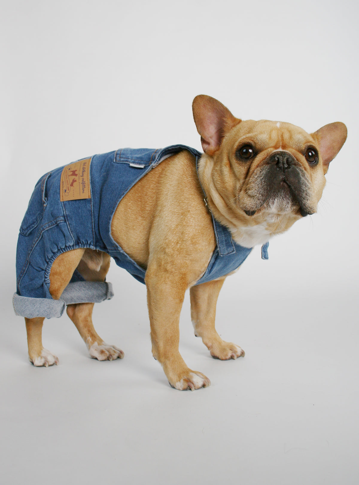 Denim Dog Overalls - Club Huey