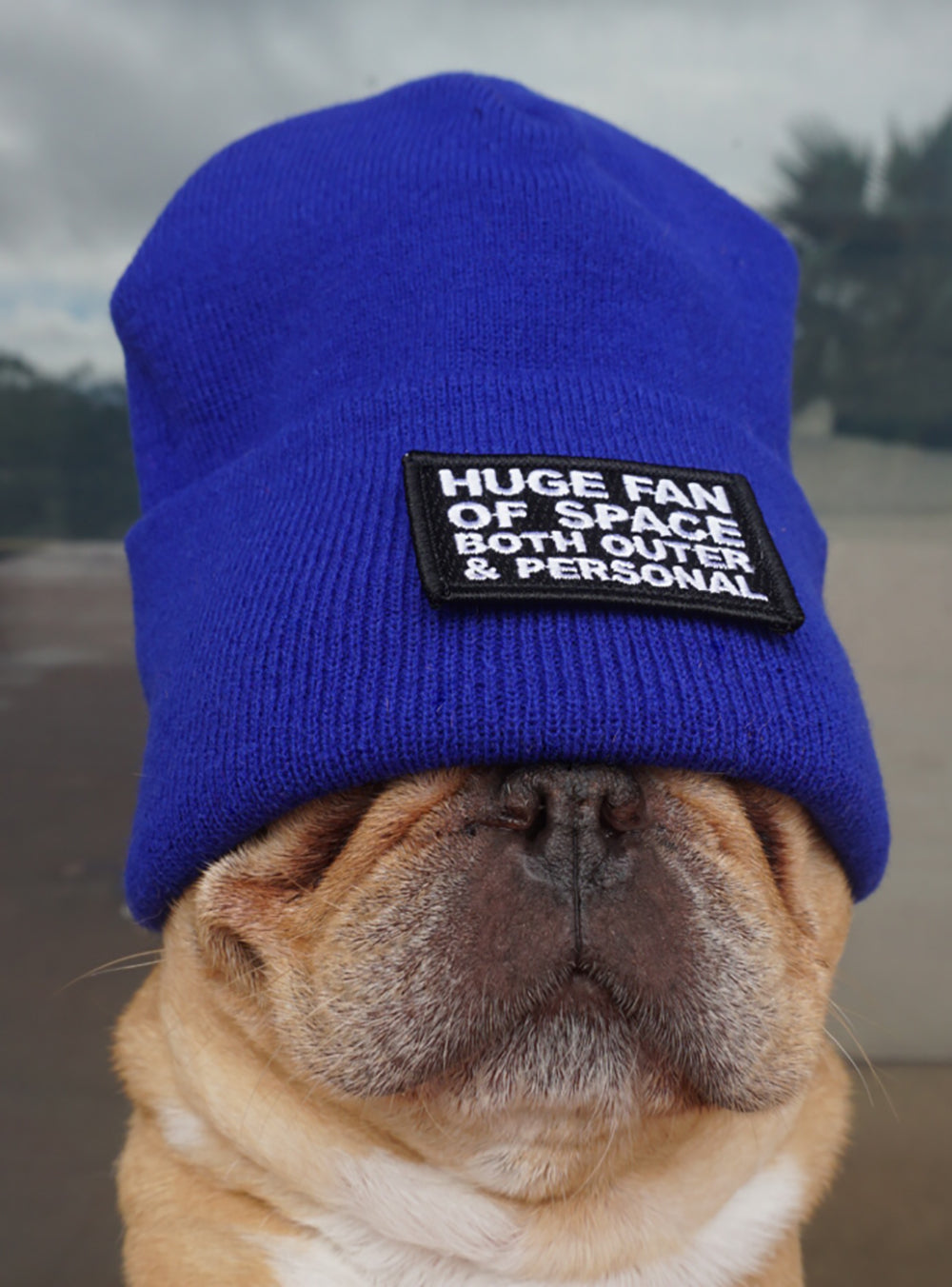 Space Fan Beanie - Club Huey